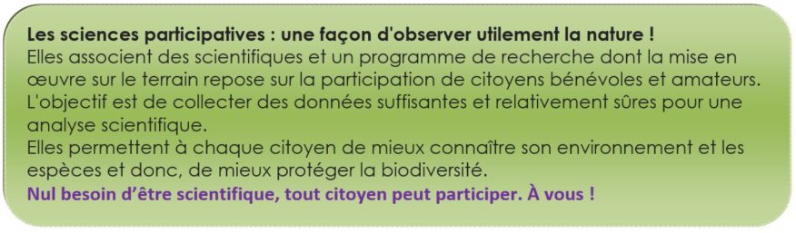 Un inventaire de la biodiversité ordinaire au lycée ! – Lycée Charles ...